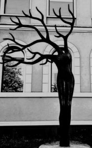 The Mythology of Trees in the British Isles | Sue Blundell